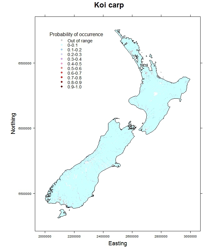 Koi_carp-Galaxias brevipinnis_distribution_predicted.jpg | Earth Sciences New Zealand | NIWA